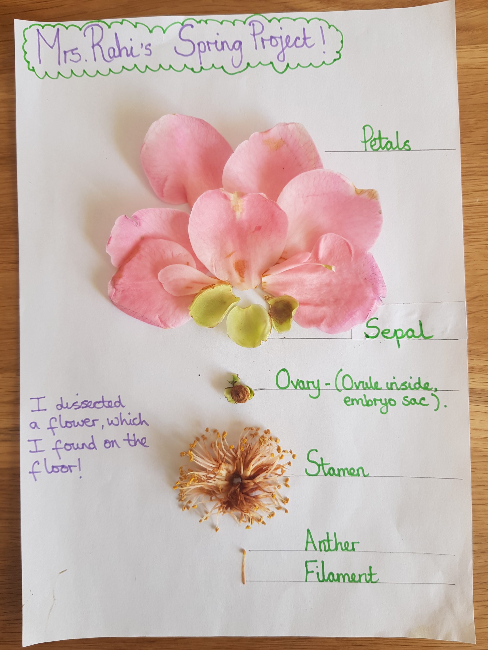 The Great Oriel Bake Off, Flower Power & Baby Animals: Oriel Academy's ...