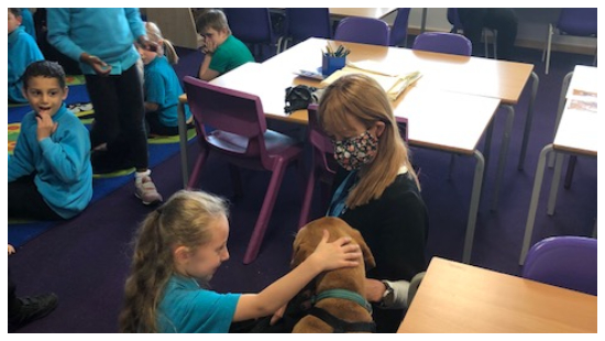 Jewell Academy pupils enjoy tender loving care from therapy dog Elvis ...