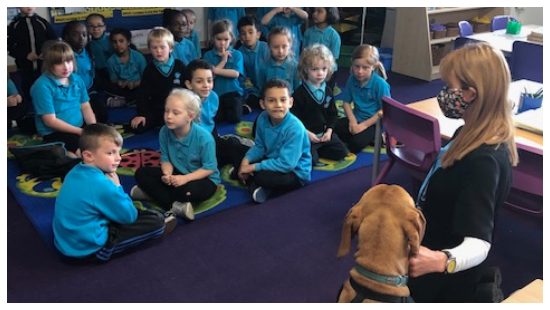 Jewell Academy pupils enjoy tender loving care from therapy dog Elvis ...