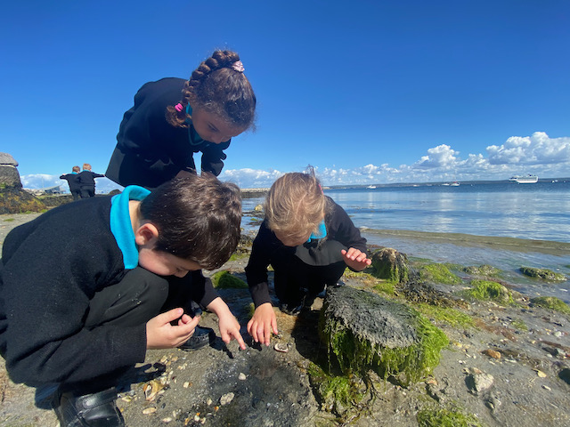 Marking World Oceans Day 2021 at Atlantic Academy Portland: Students ...