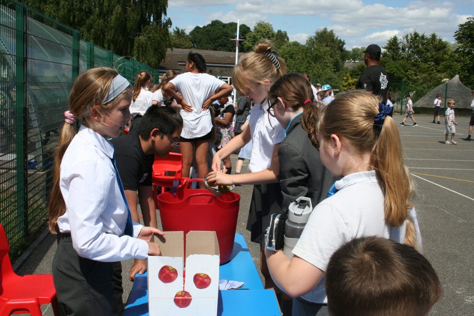 Business venture sees Year 6 students at Bovington Academy take on the ...